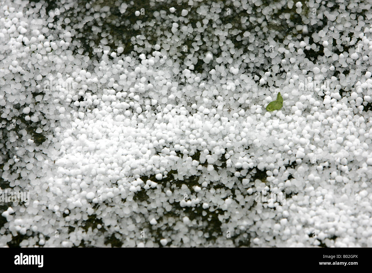 Hail on the ground hi-res stock photography and images - Alamy