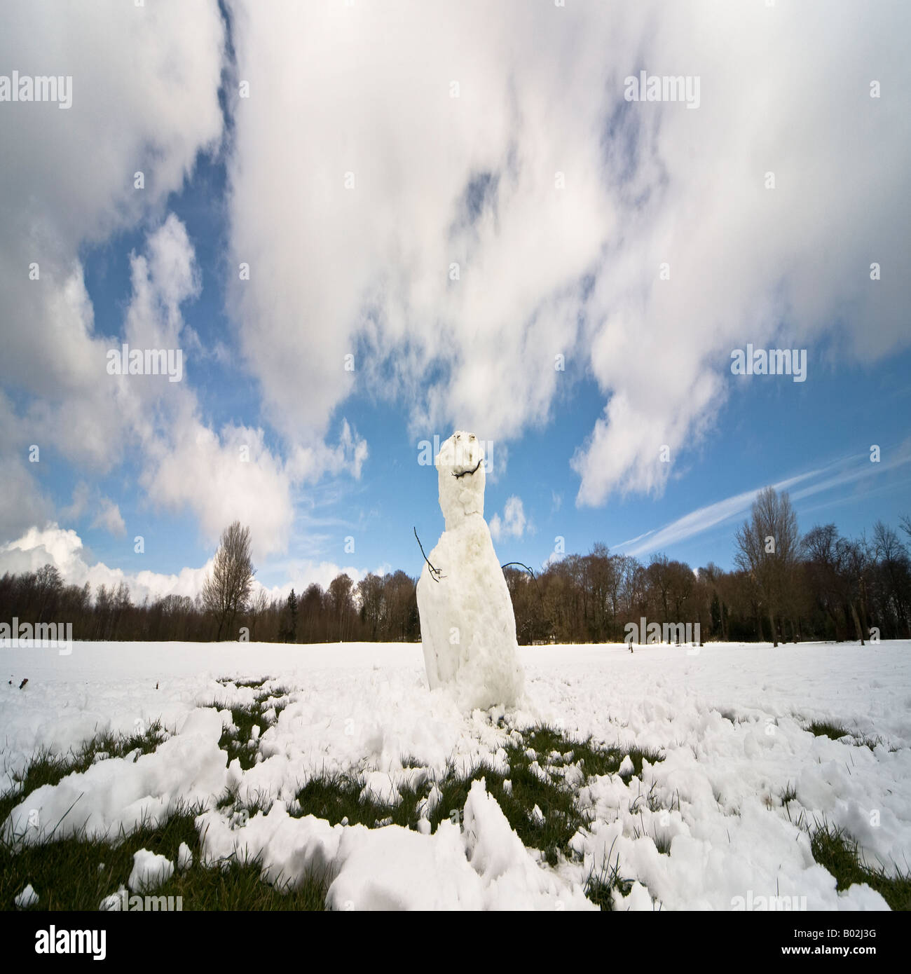 Wide Panoramic Style humorous image of a snowman in a field with blue ...