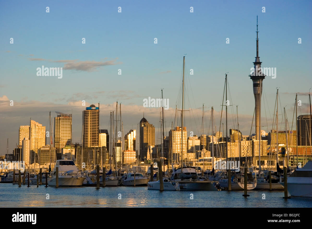 Westhaven Marina Auckland New Zealand Stock Photo - Alamy