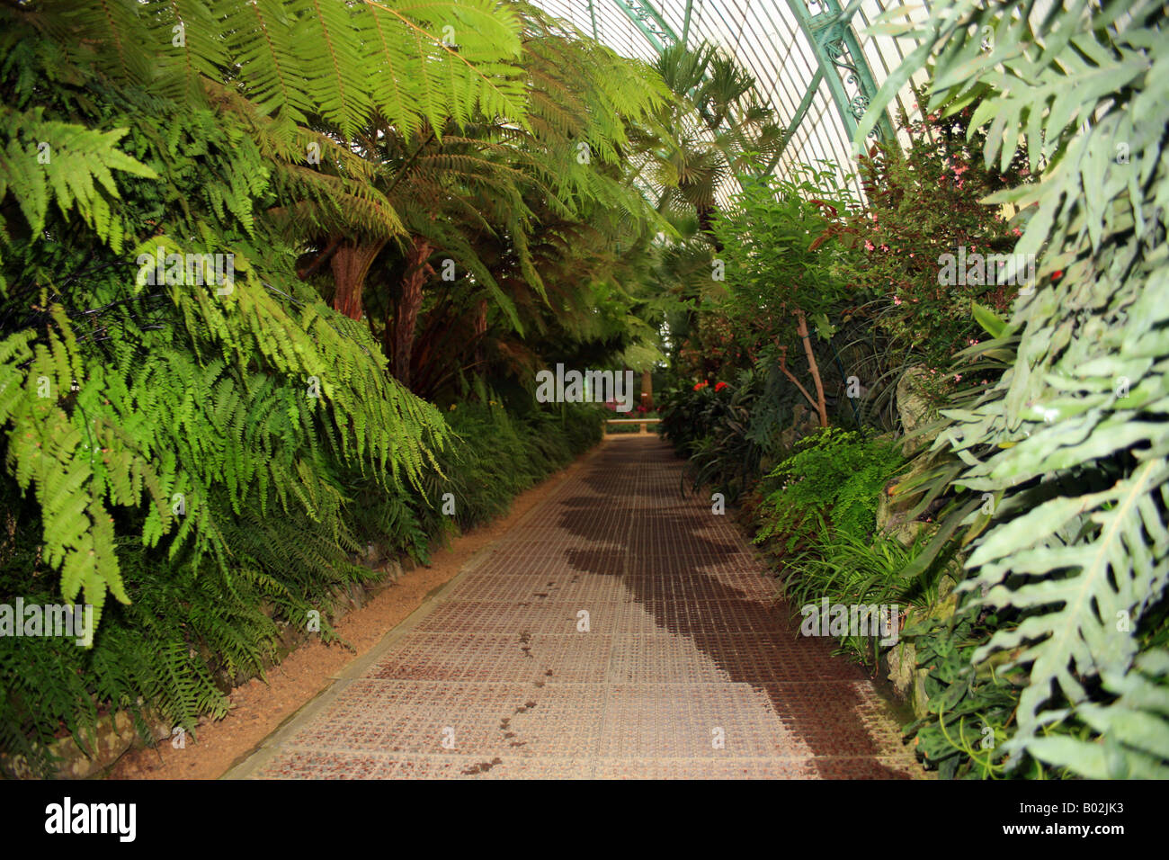 interior of Wintergarden, The Royal Glasshouses, Laeken, Brussels ...