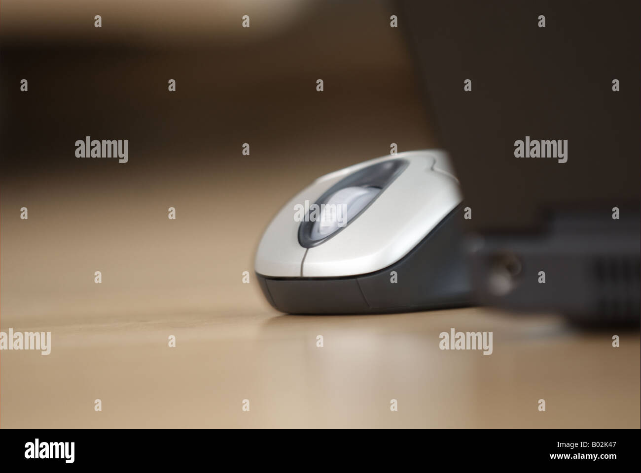 Only a mouse hi-res stock photography and images - Alamy