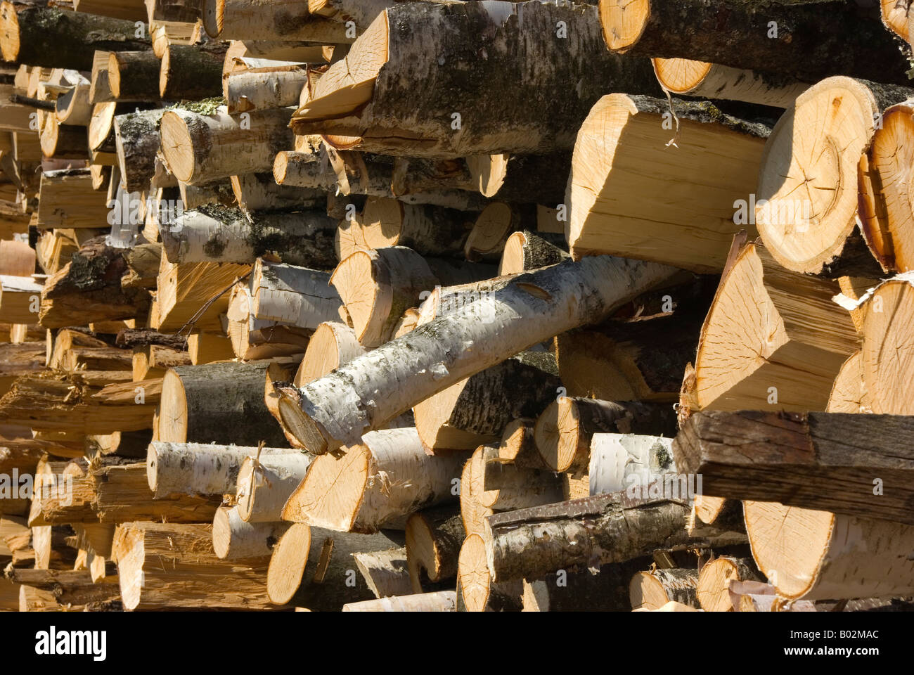 Side view of large pile of stacked, split firewood on Vermont farm in ...