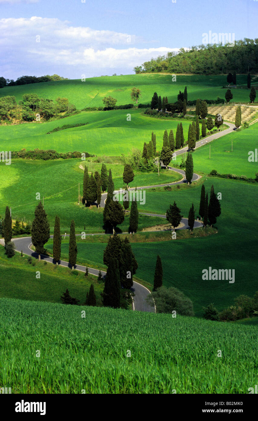Landscape with road in Tuscany Italy Stock Photo - Alamy