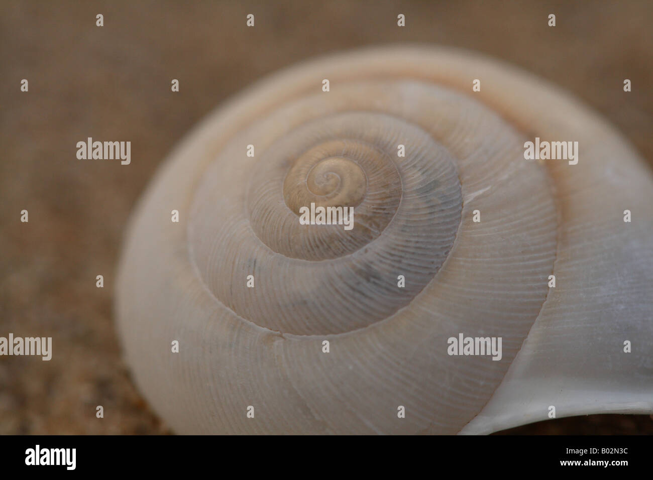 Swirls beautiful hi-res stock photography and images - Alamy