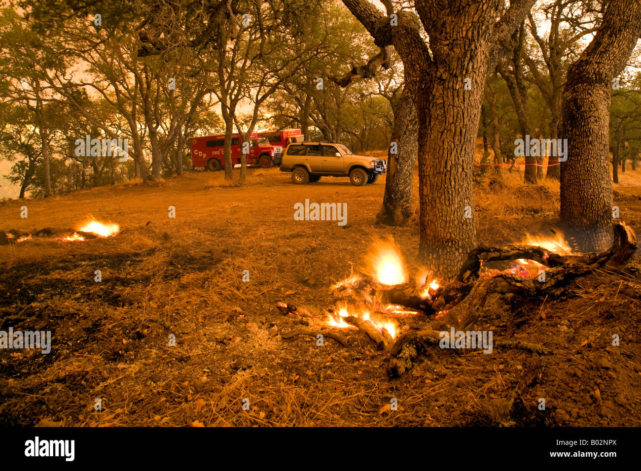 50,000 acre California wildfire at Henry Coe State Park south of San ...