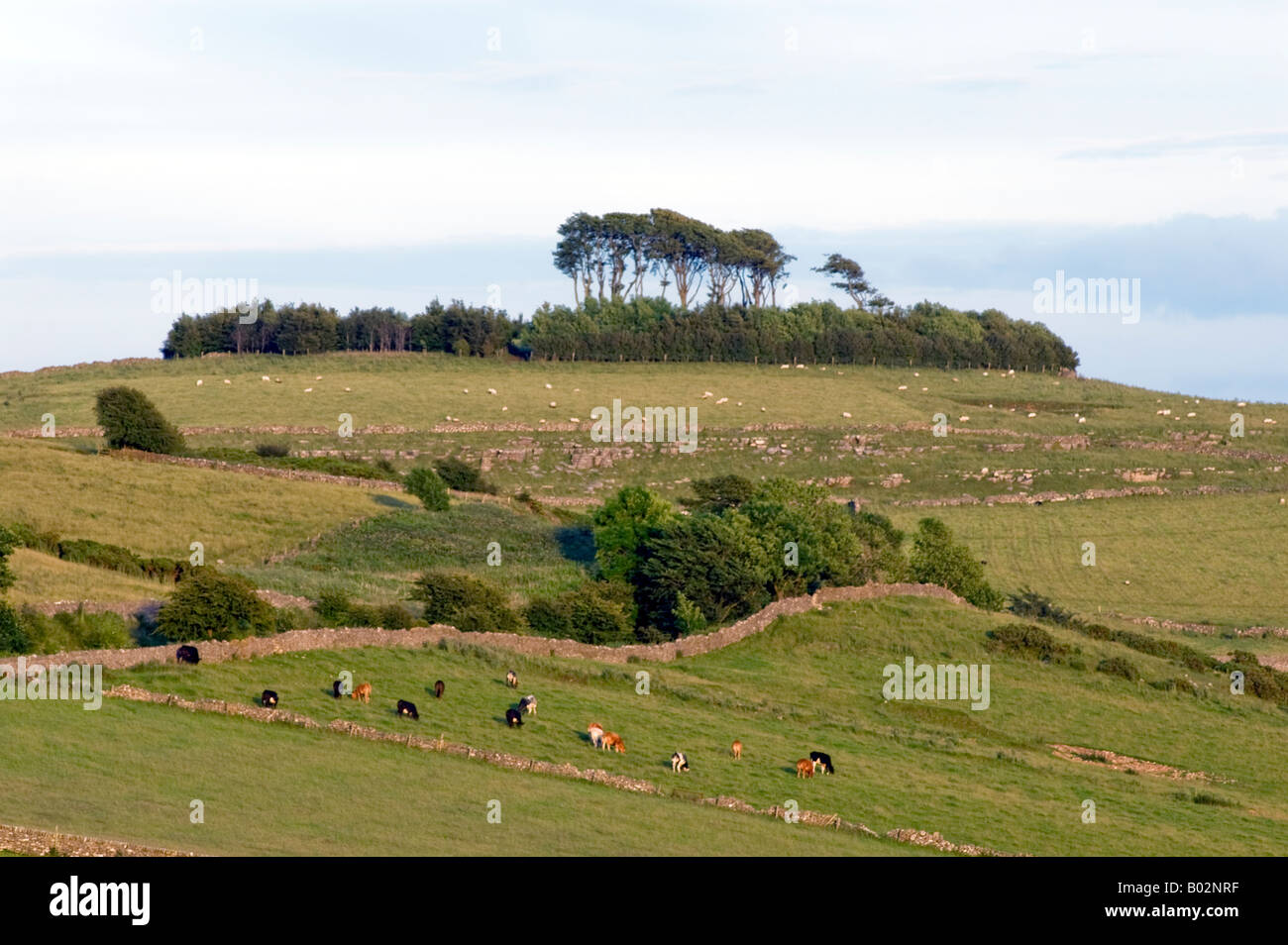 Minninglow hill derbyshire hi-res stock photography and images - Alamy
