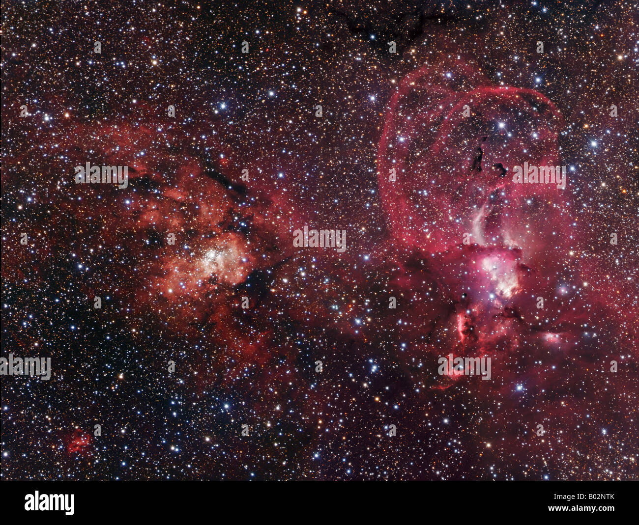Wr stars hi-res stock photography and images - Alamy