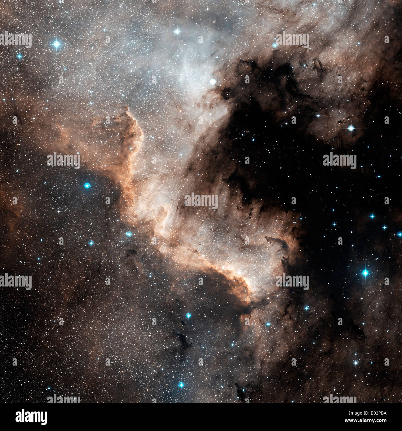 The North American Nebula (NGC 7000) is a large emission nebula located in the constellation ...