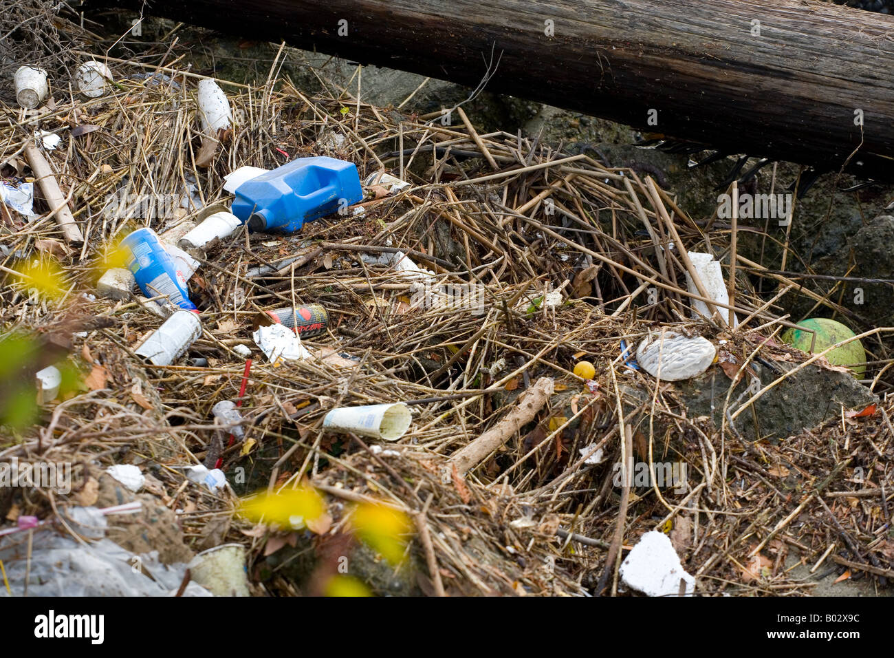 trash in a wetland area Stock Photo - Alamy