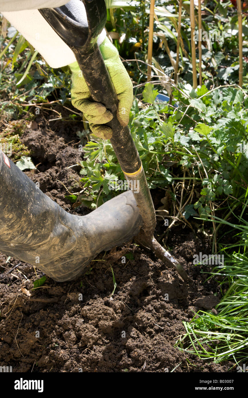 Digging a garden border hi-res stock photography and images - Alamy