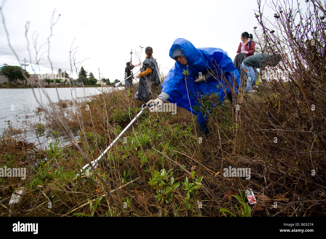 cleaning trash out of a wetland area Stock Photo - Alamy