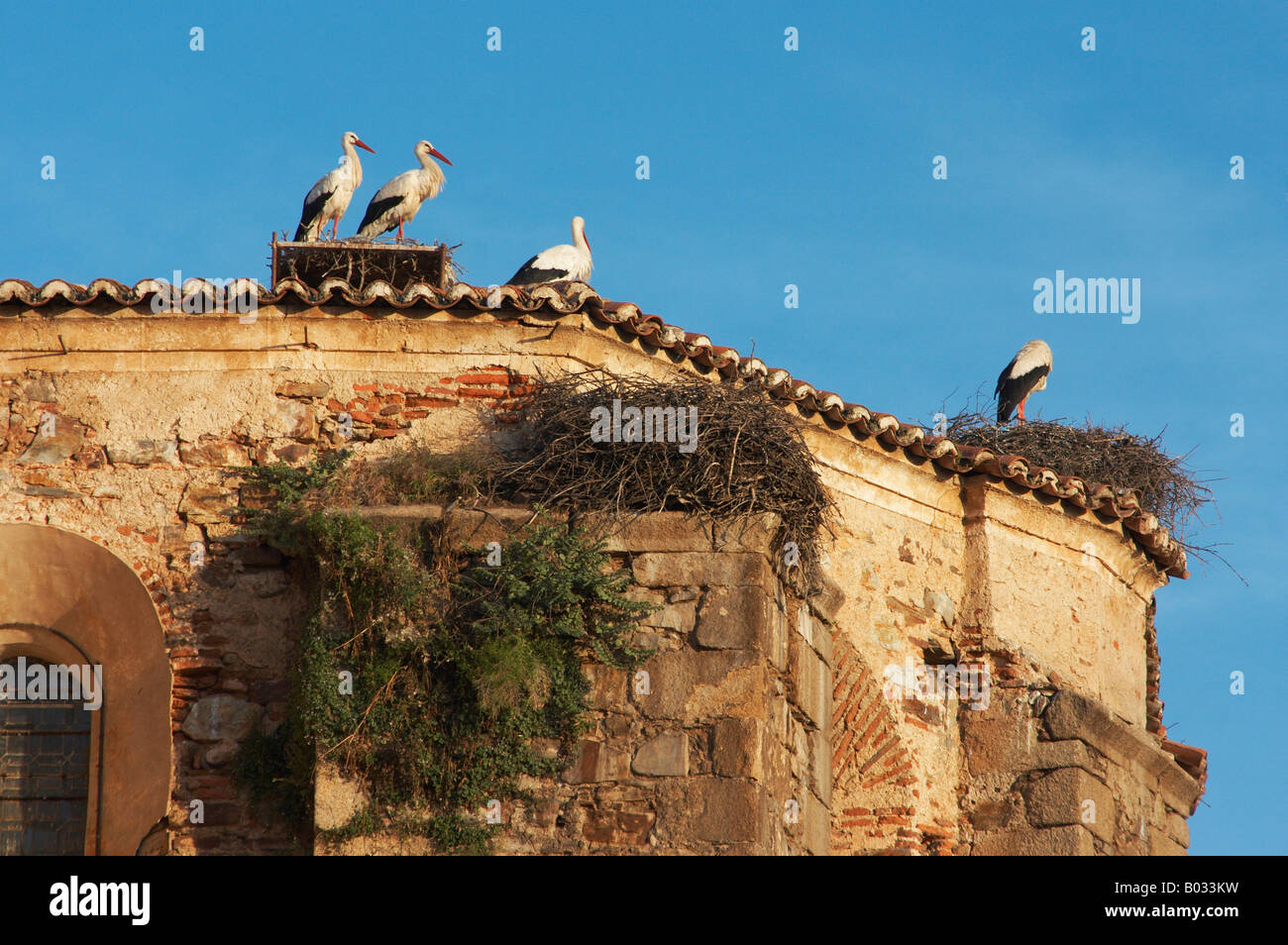 Museum spanish spanish culture storks architecture hi-res stock ...