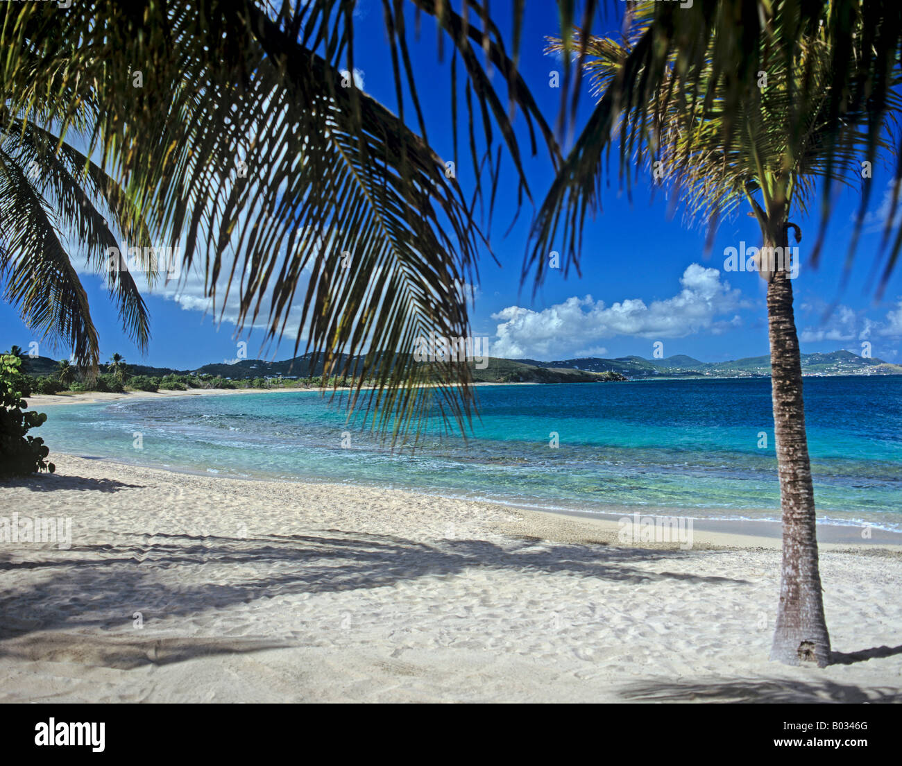 0515 Buccaneer Beach St Croix US Virgin Islands Caribbean Stock Photo ...