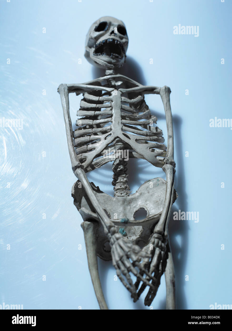 Human skull three quarter view hi-res stock photography and images - Alamy