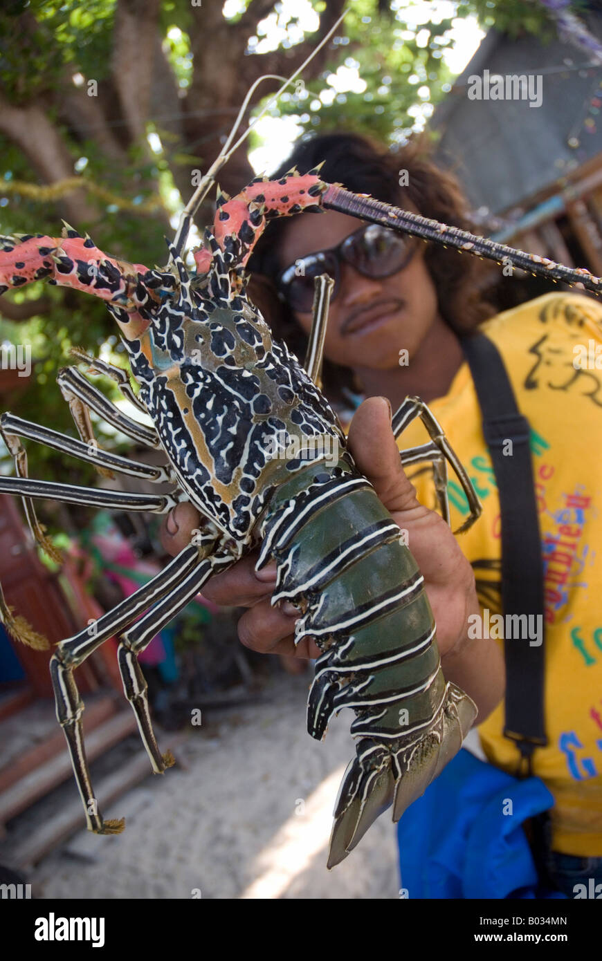 Sea Gypsy with lobster Stock Photo - Alamy