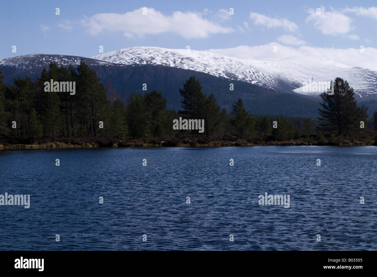 Uath Lochan, a tree-lined Scottish loch (lake) with mountains in the ...