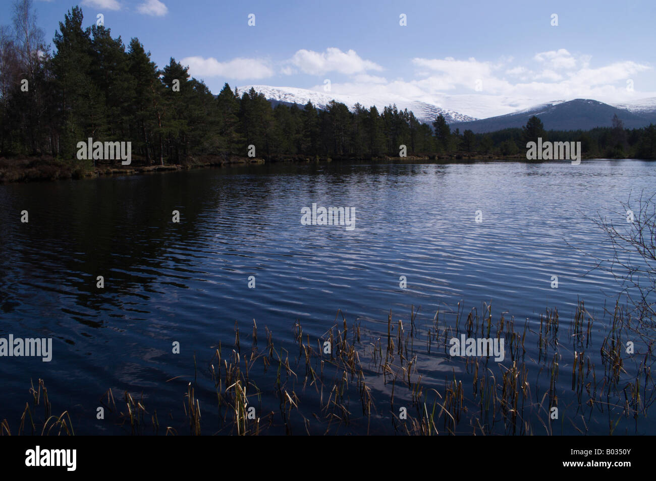 Uath Lochan, a tree-lined Scottish loch (lake) with mountains in the ...