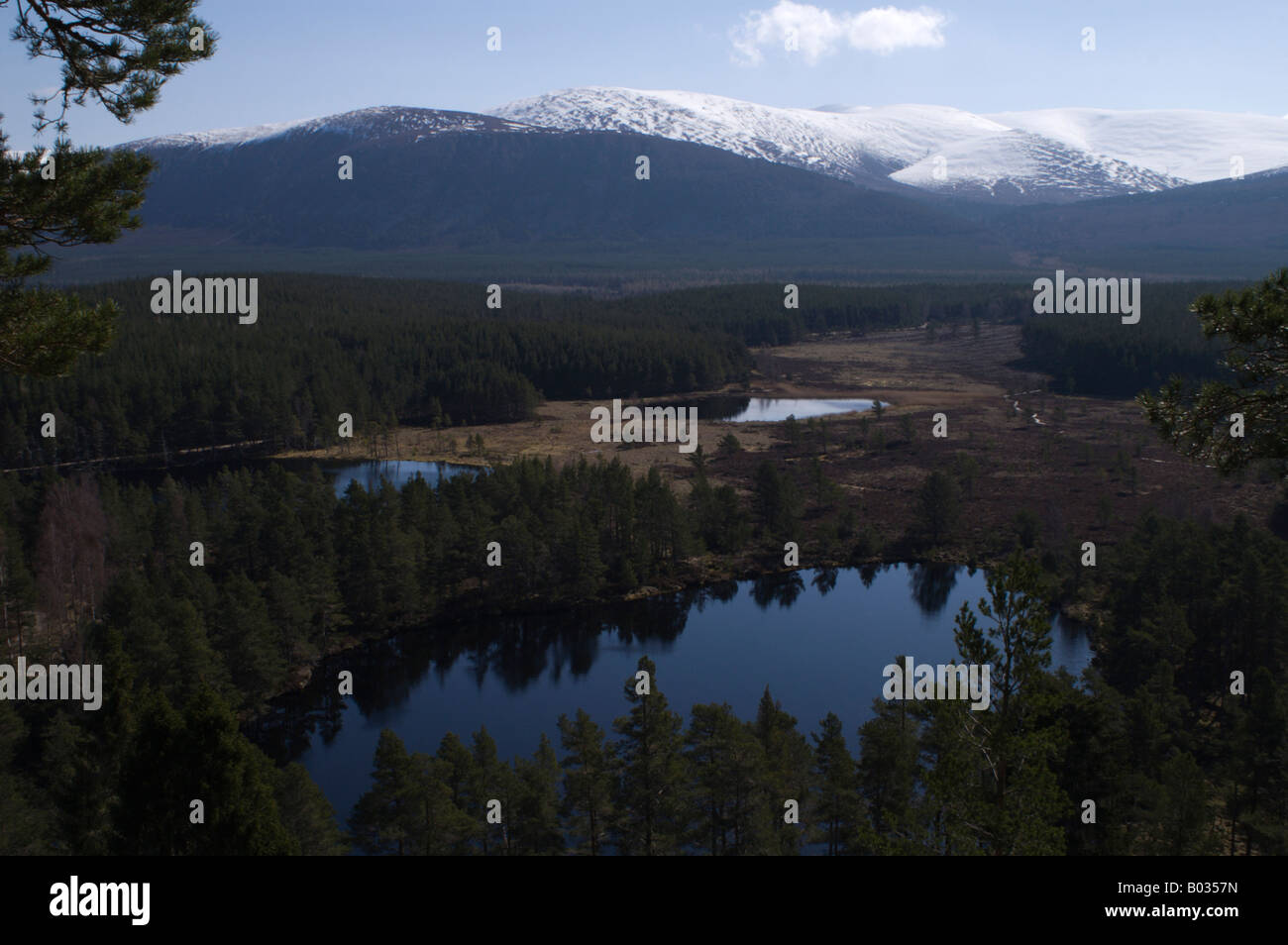 Uath Lochan, a tree-lined Scottish loch (lake) with mountains in the ...