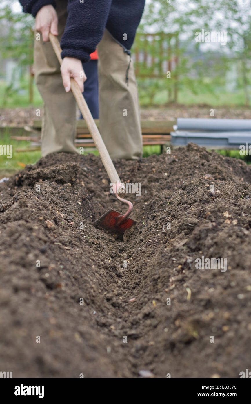 Potato Drill High Resolution Stock Photography and Images - Alamy