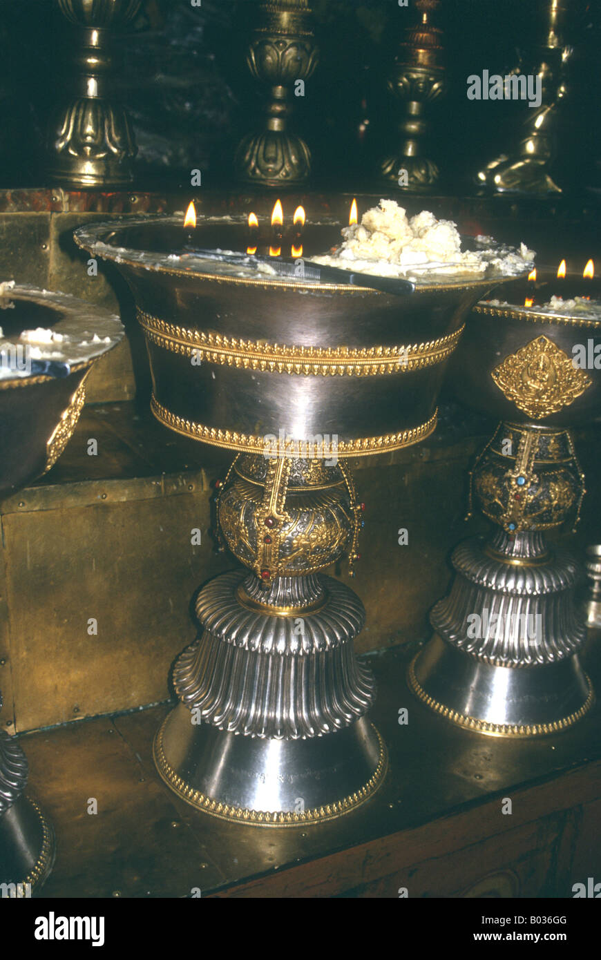 Gold yak hi-res stock photography and images - Alamy