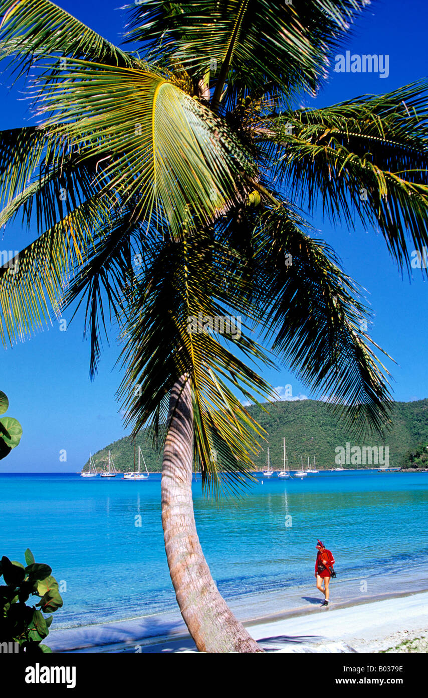 0566 Maho Bay Beach St Johns US Virgin Islands Caribbean Stock Photo ...