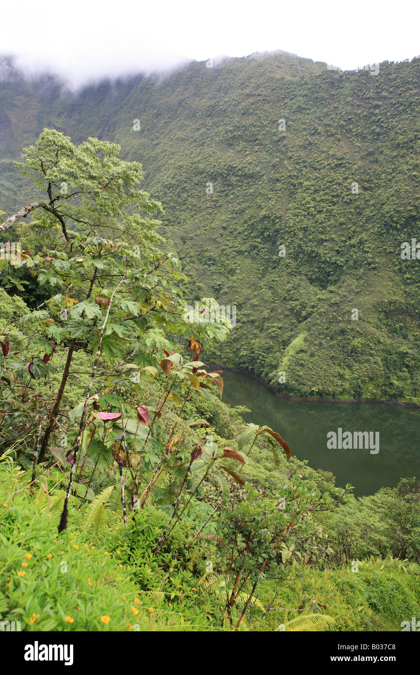 lake in the extinct volcano crater of Tahiti Stock Photo - Alamy