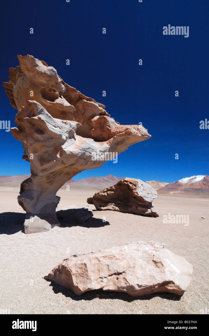 Arbol de Piedra rock tree Altiplano Bolivia South America Stock Photo ...