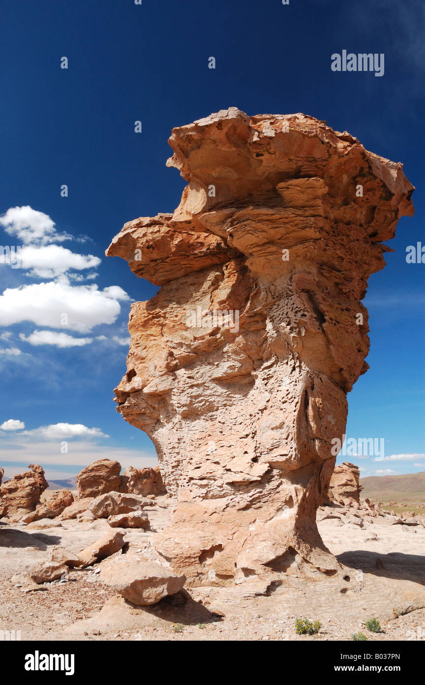 Impressive rock formation Altiplano Bolivia South America Stock Photo ...