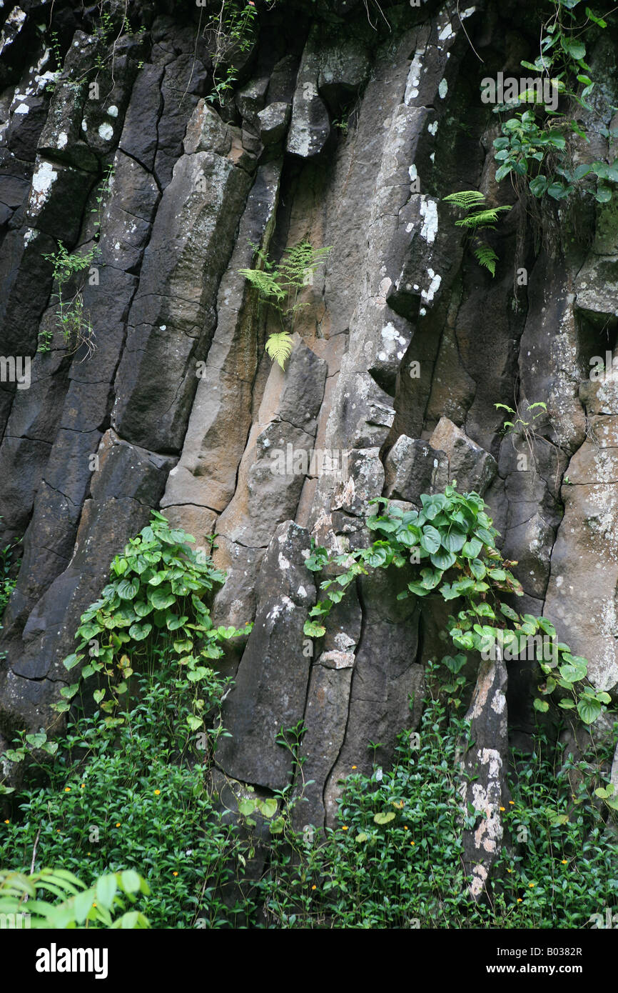 Fissures in the volcanic rock face on Tahiti Stock Photo - Alamy