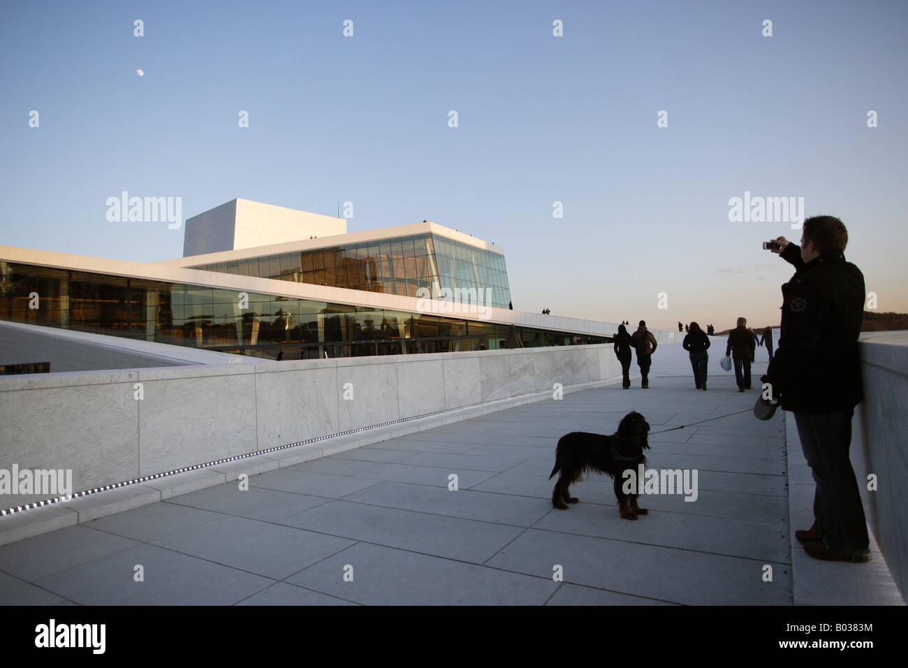 Man playing with dog at the Oslo Opera Stock Photo - Alamy