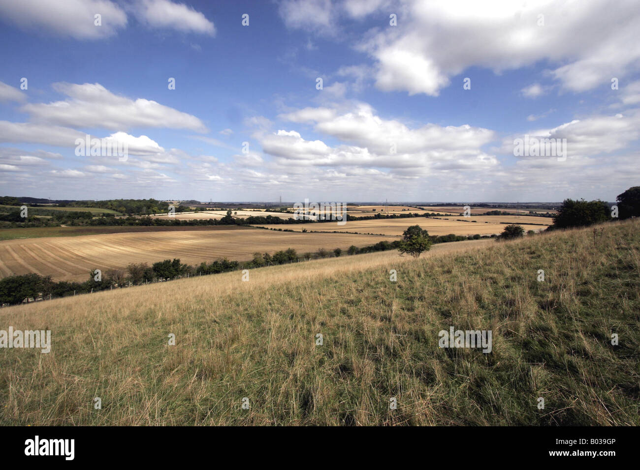 Rolling Agriculture Land Stock Photo - Alamy