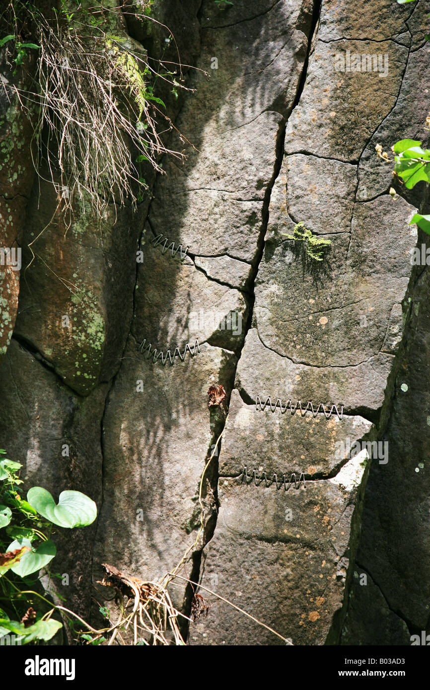 Mended Fissures in the volcanic rock face on Tahiti Art by Jen-Paul ...