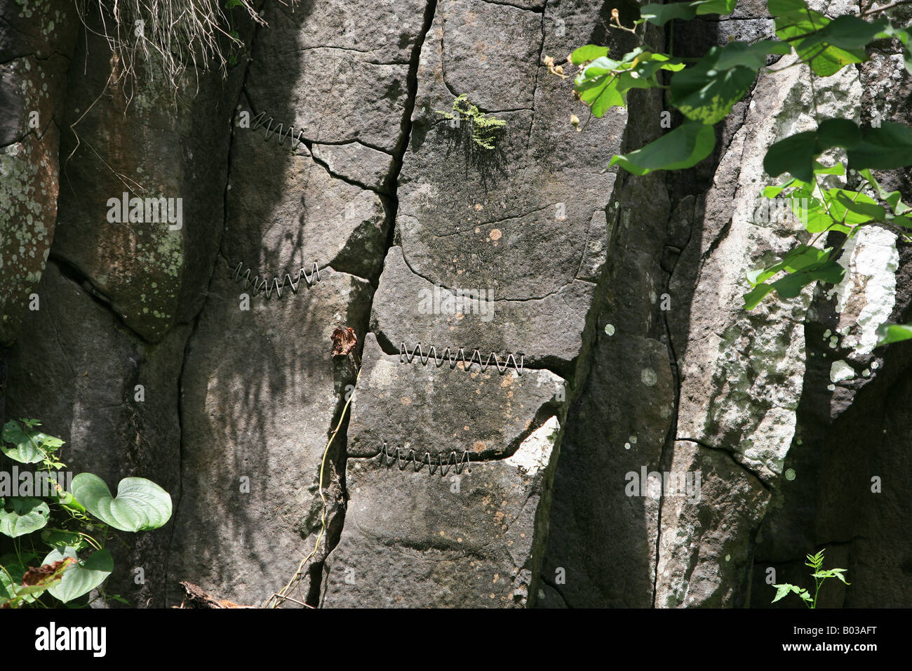 Mended Fissures in the volcanic rock face on Tahiti Art by Jen-Paul ...
