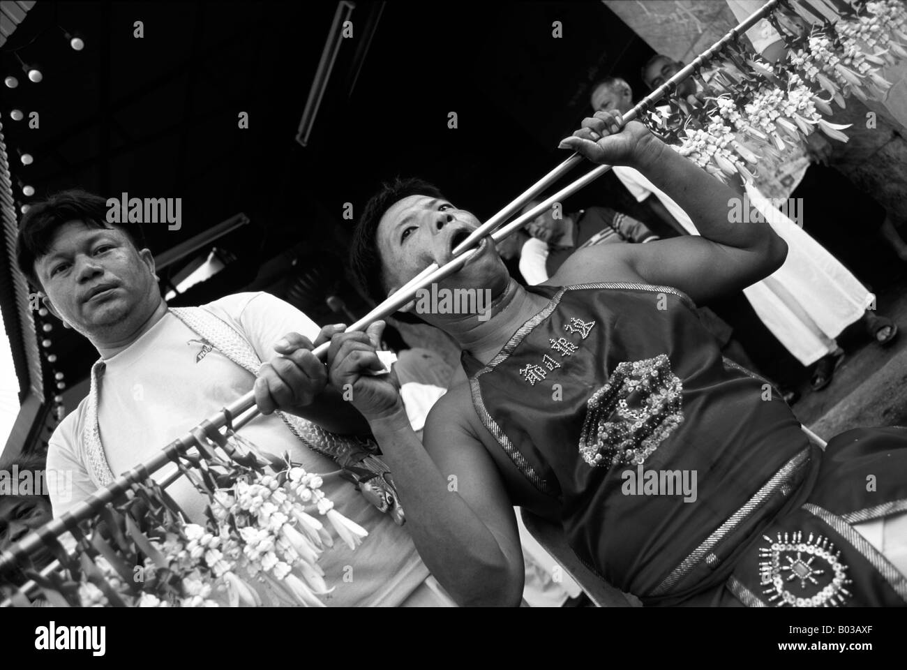 A man has two large poles inserted through his face Stock Photo - Alamy