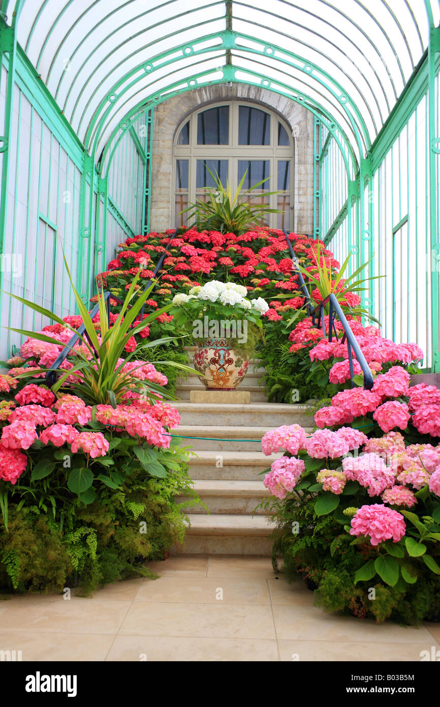 Growing up pavillion hi-res stock photography and images - Alamy