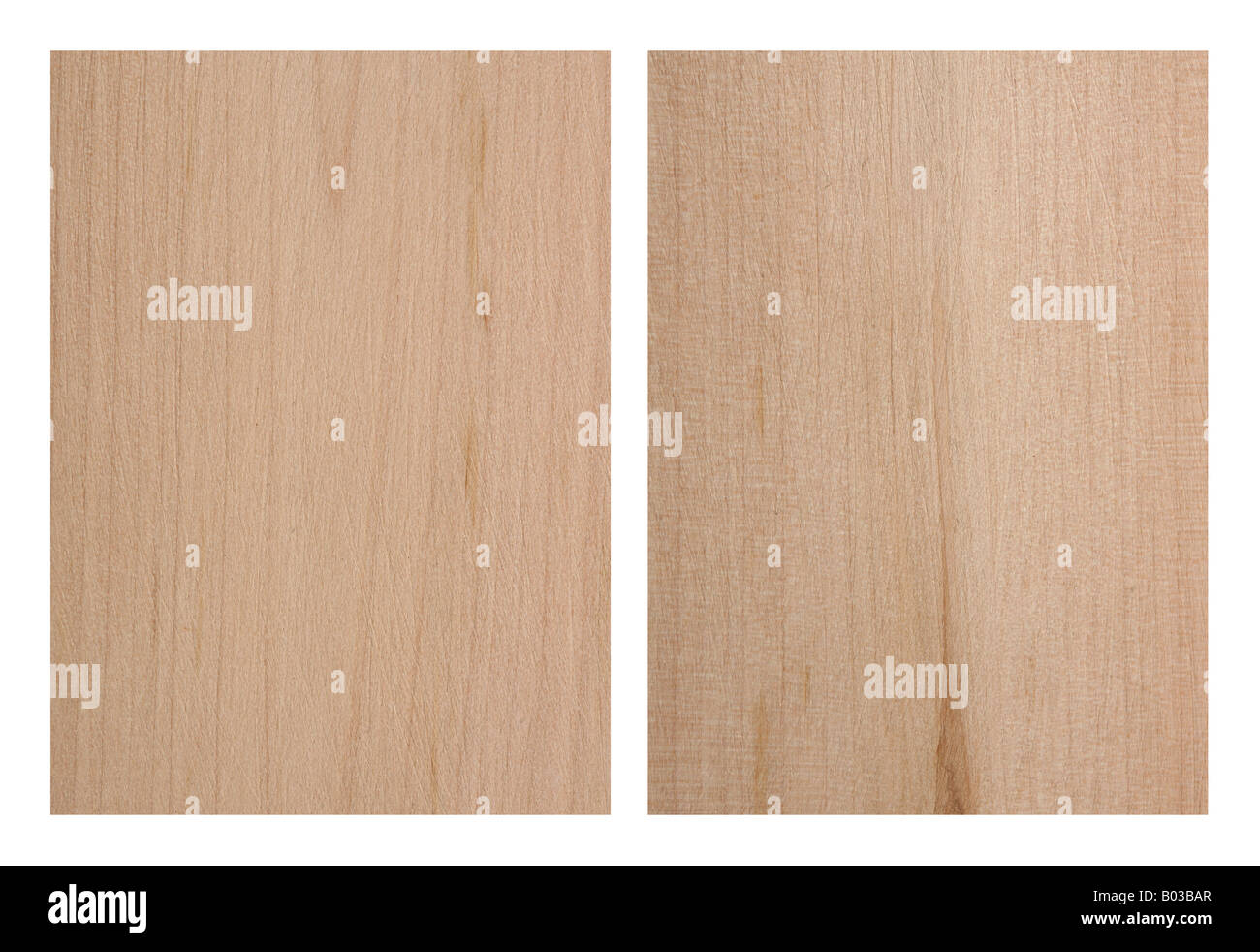 Hazel wood texture Cut Out Stock Images & Pictures - Alamy