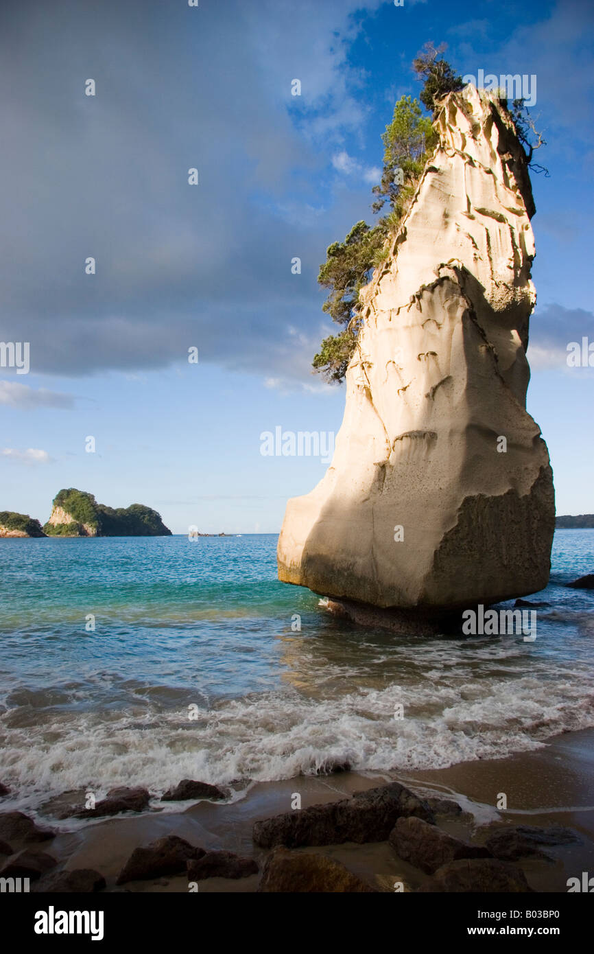 Cathedral Cove Coromandel Peninsula New Zealand Stock Photo - Alamy