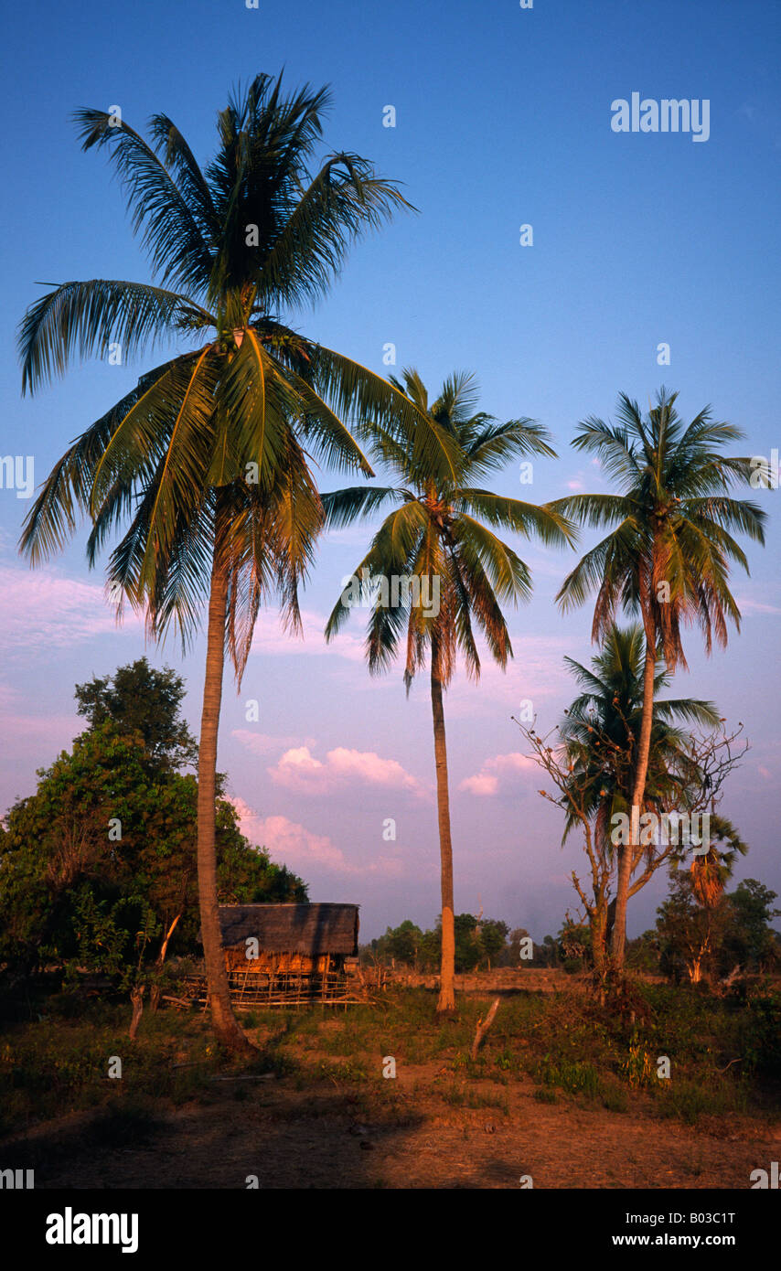 View of the Mekong island of Don Det at sunset at Si Phan Don (4000 ...