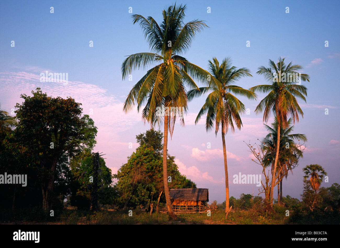 View of the Mekong island of Don Det at sunset at Si Phan Don (4000 ...