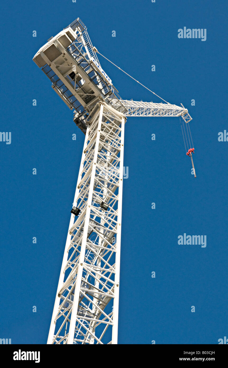 White crane hi-res stock photography and images - Alamy