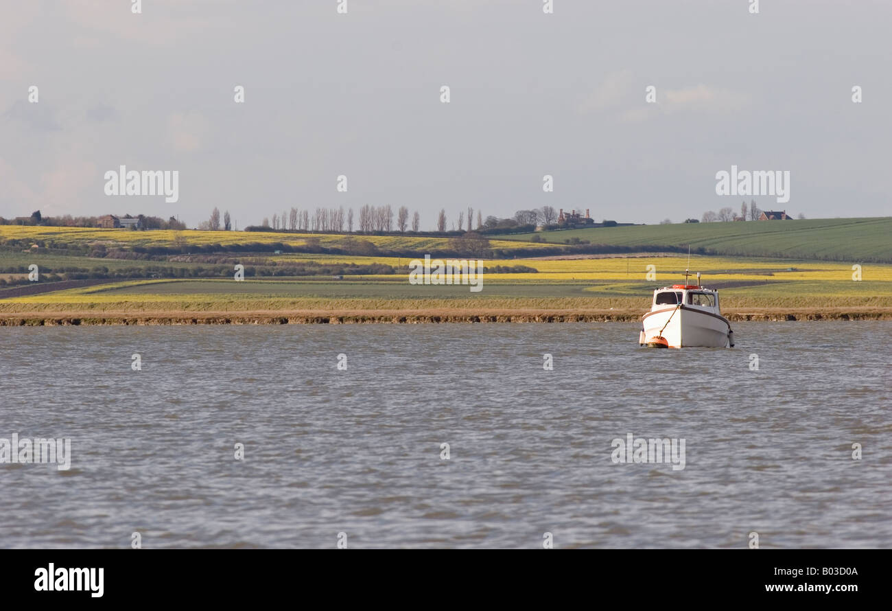 Motor Cruiser boat moored on Swale Estuary, Kent, UK Stock Photo - Alamy