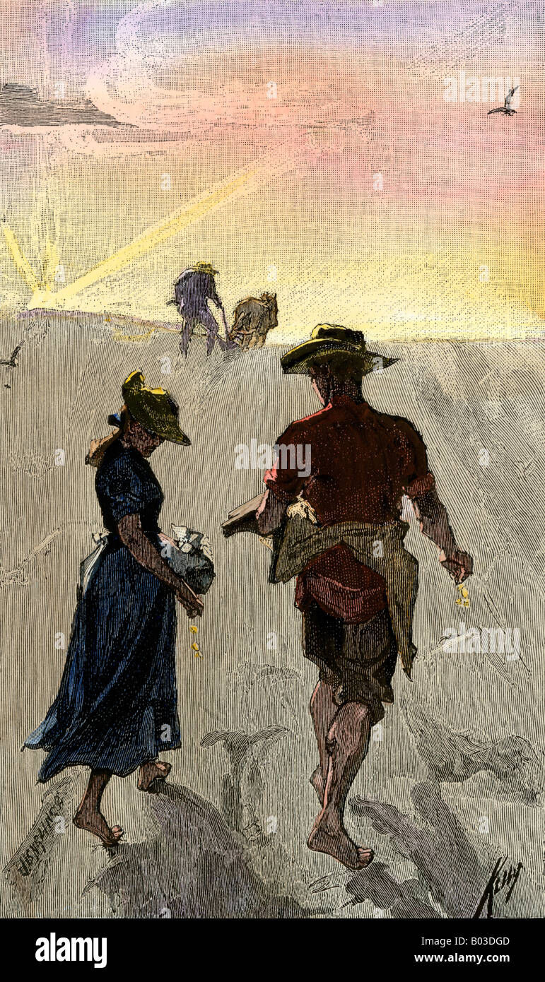 Homesteaders dropping seeds to sow corn on the Great Plains 1800s. Hand ...