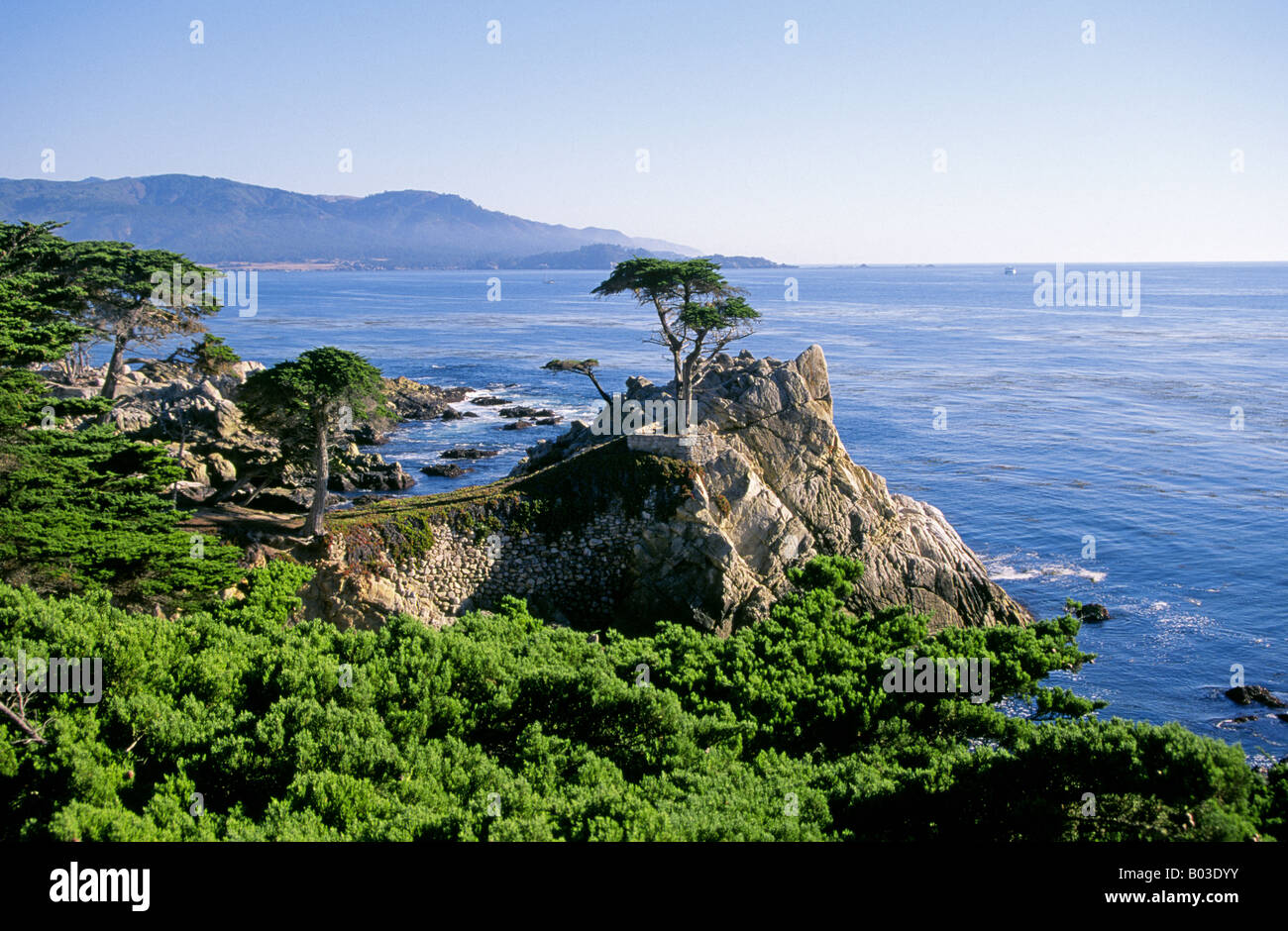 A view of the Lone Cypress tree on the famous 17 mile Drive along the ...