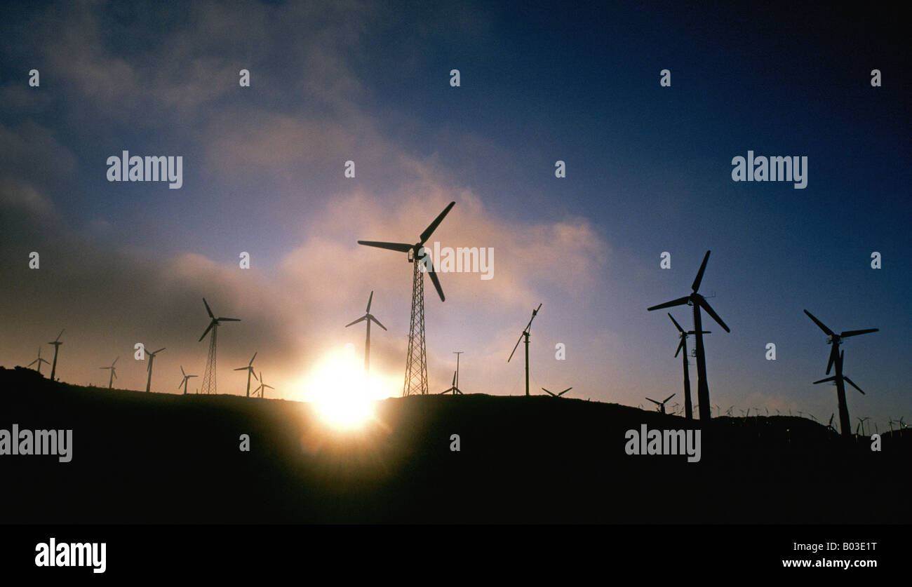 A large wind farm with wind turbines in the Tehachapi Mountains in ...