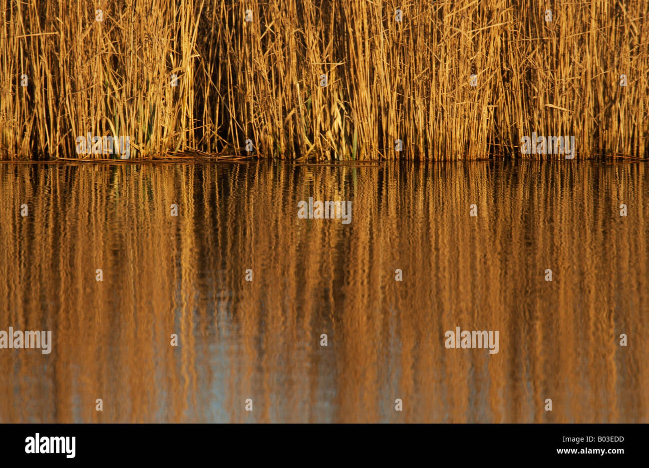 River in winter england hi-res stock photography and images - Alamy