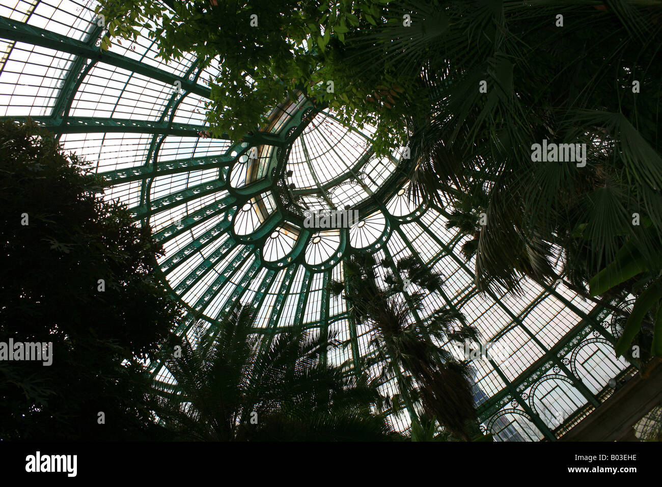 interior of Wintergarden, The Royal Glasshouses, Laeken, Brussels ...