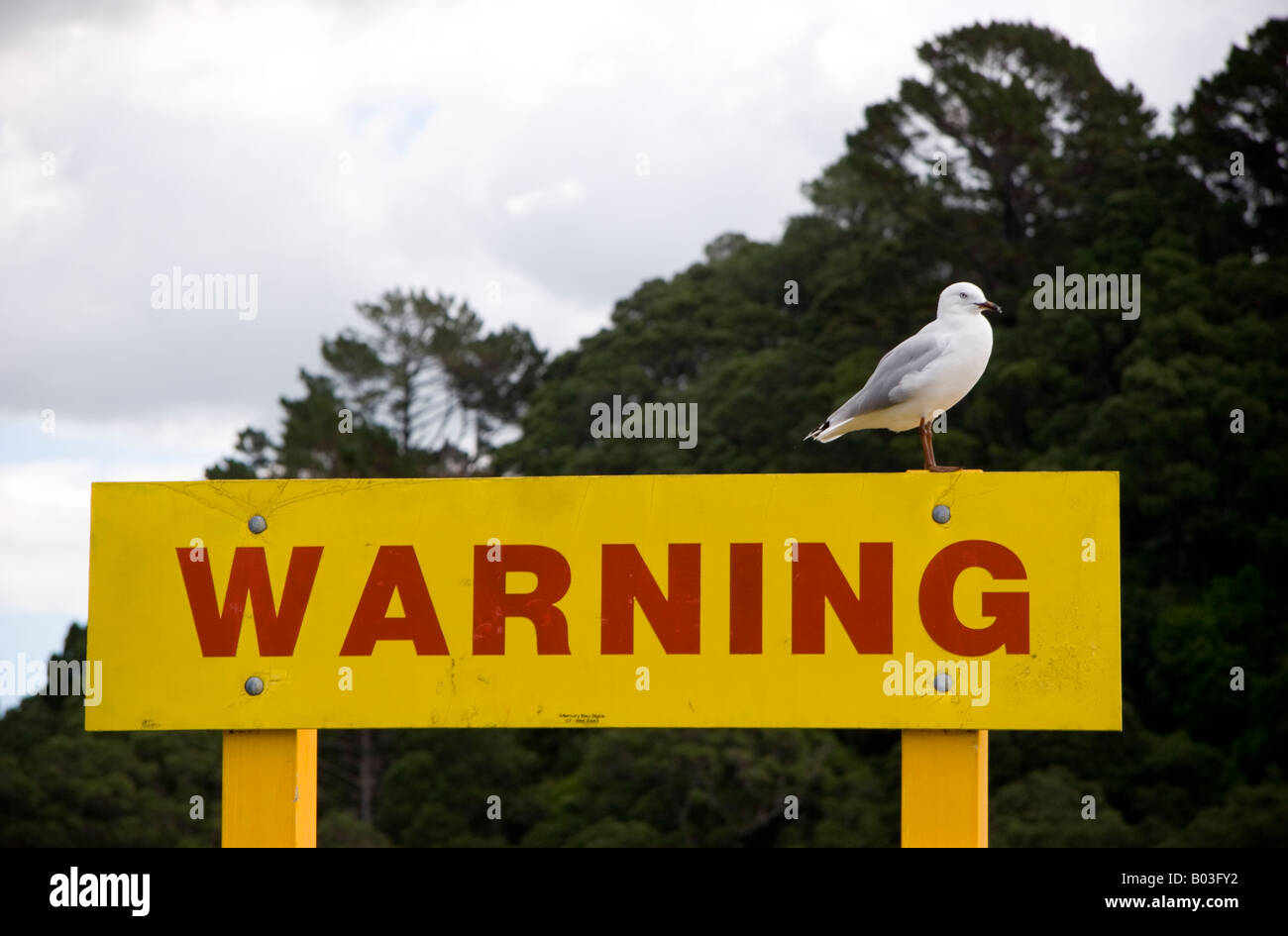 Bird sits on warning sign Coromandel Peninsula New Zealand Stock Photo ...