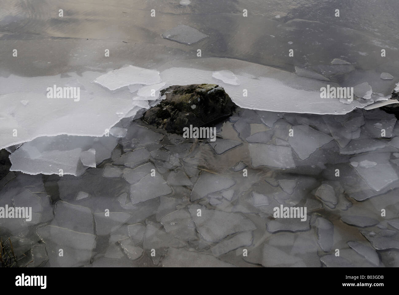 Broken Winter ice on pond North Wales UK Stock Photo - Alamy
