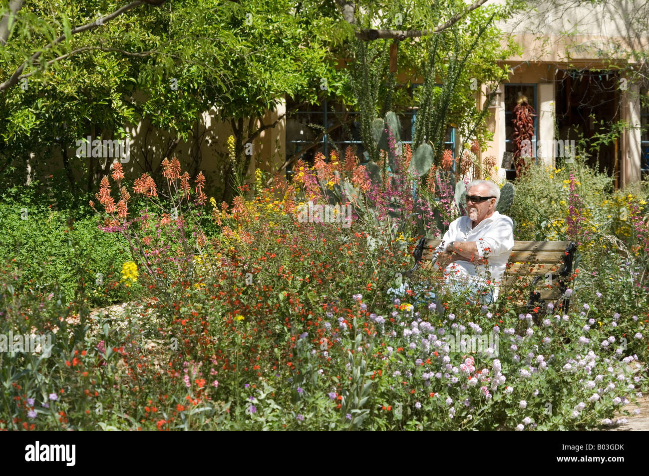 Man relaxing in a garden Stock Photo - Alamy