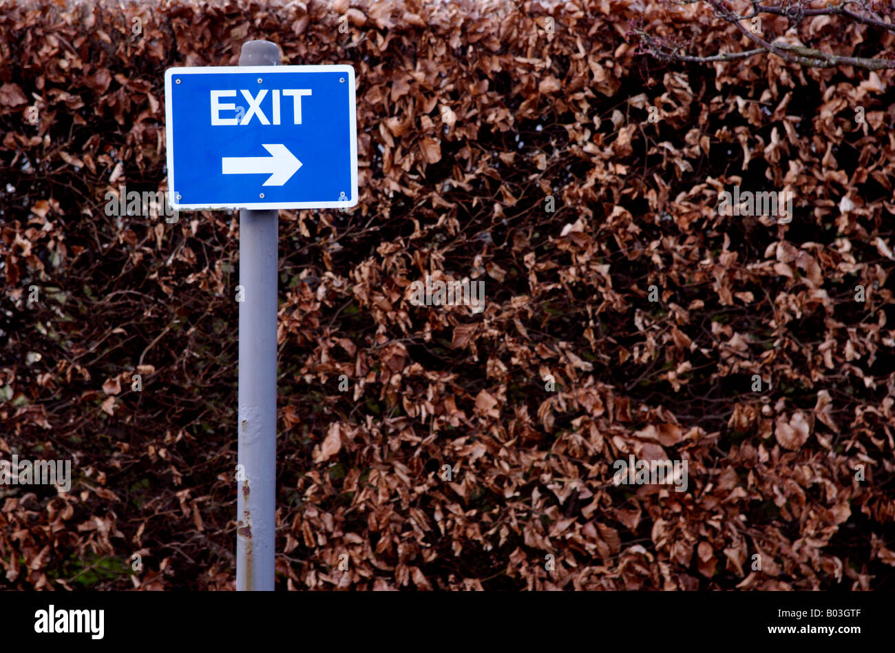 Exiting exits hi-res stock photography and images - Alamy